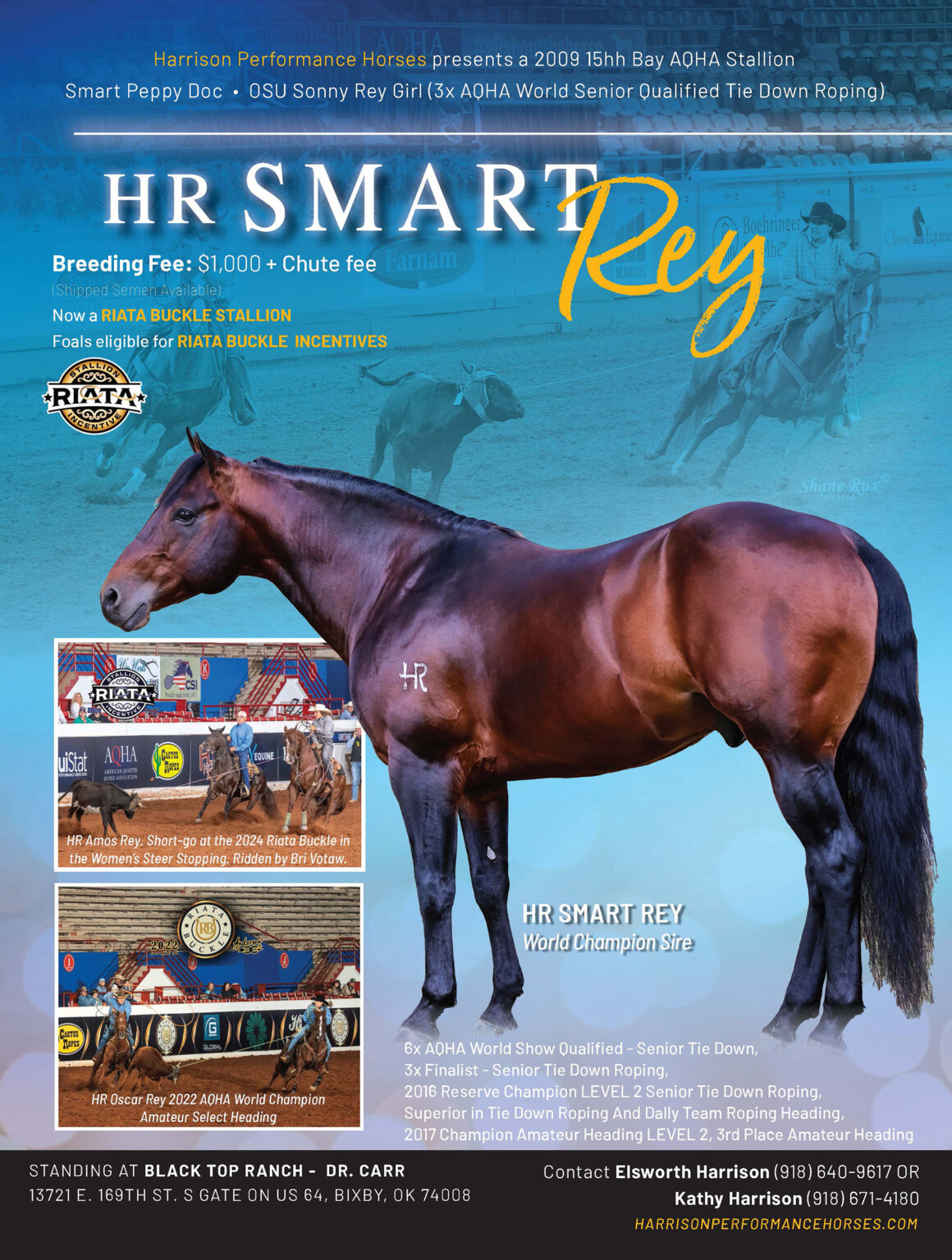 Rope Horse Breeder's Guide Stallion: HR Smart Rey