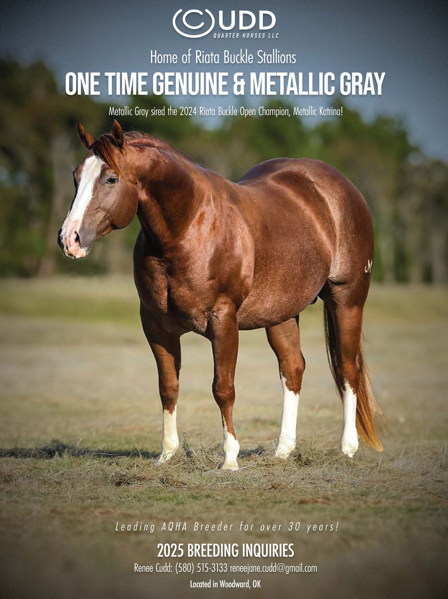 Rope Horse Breeder's Guide: Cudd Quarter Horses