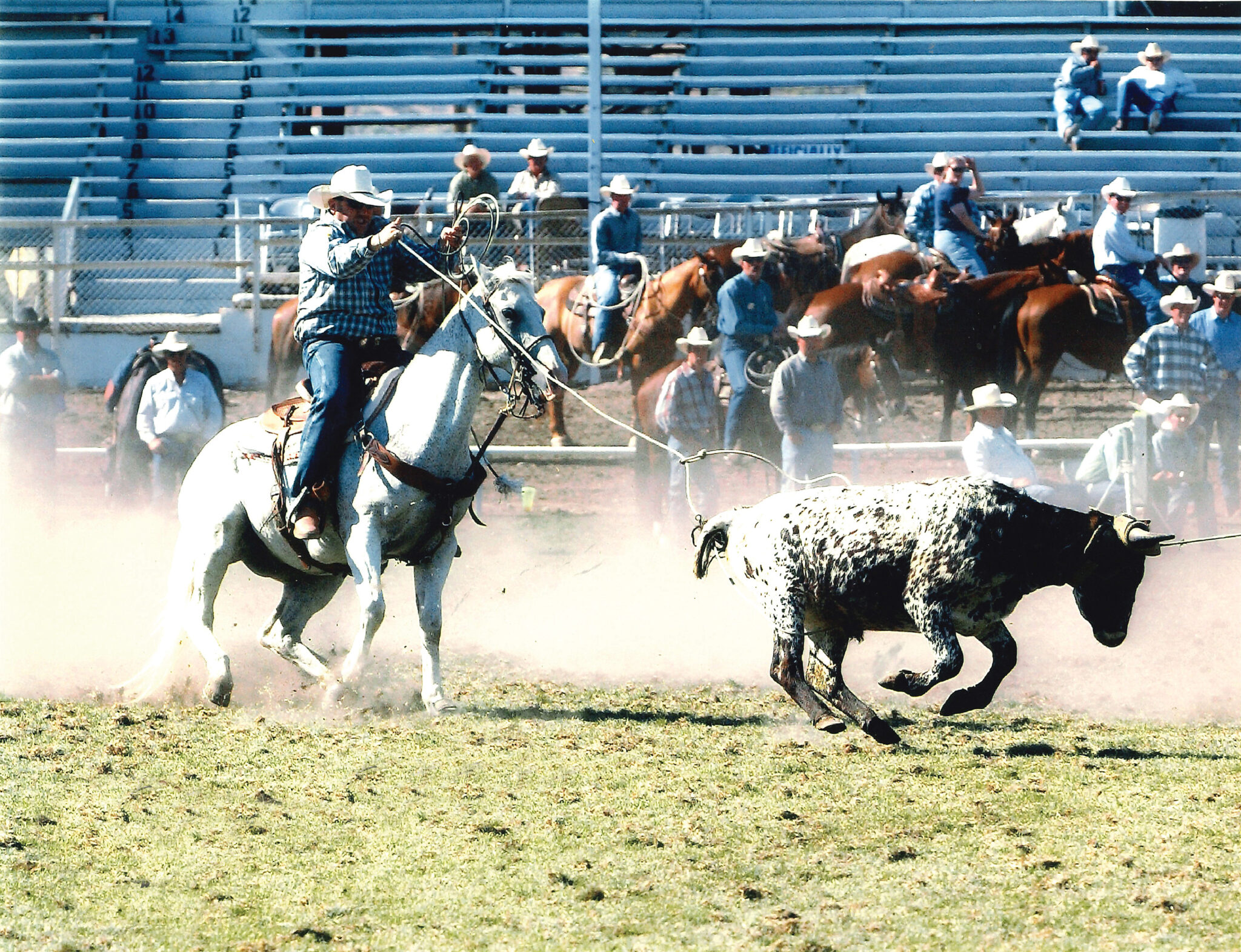 The Horse That Put Brent Lockett on the Map