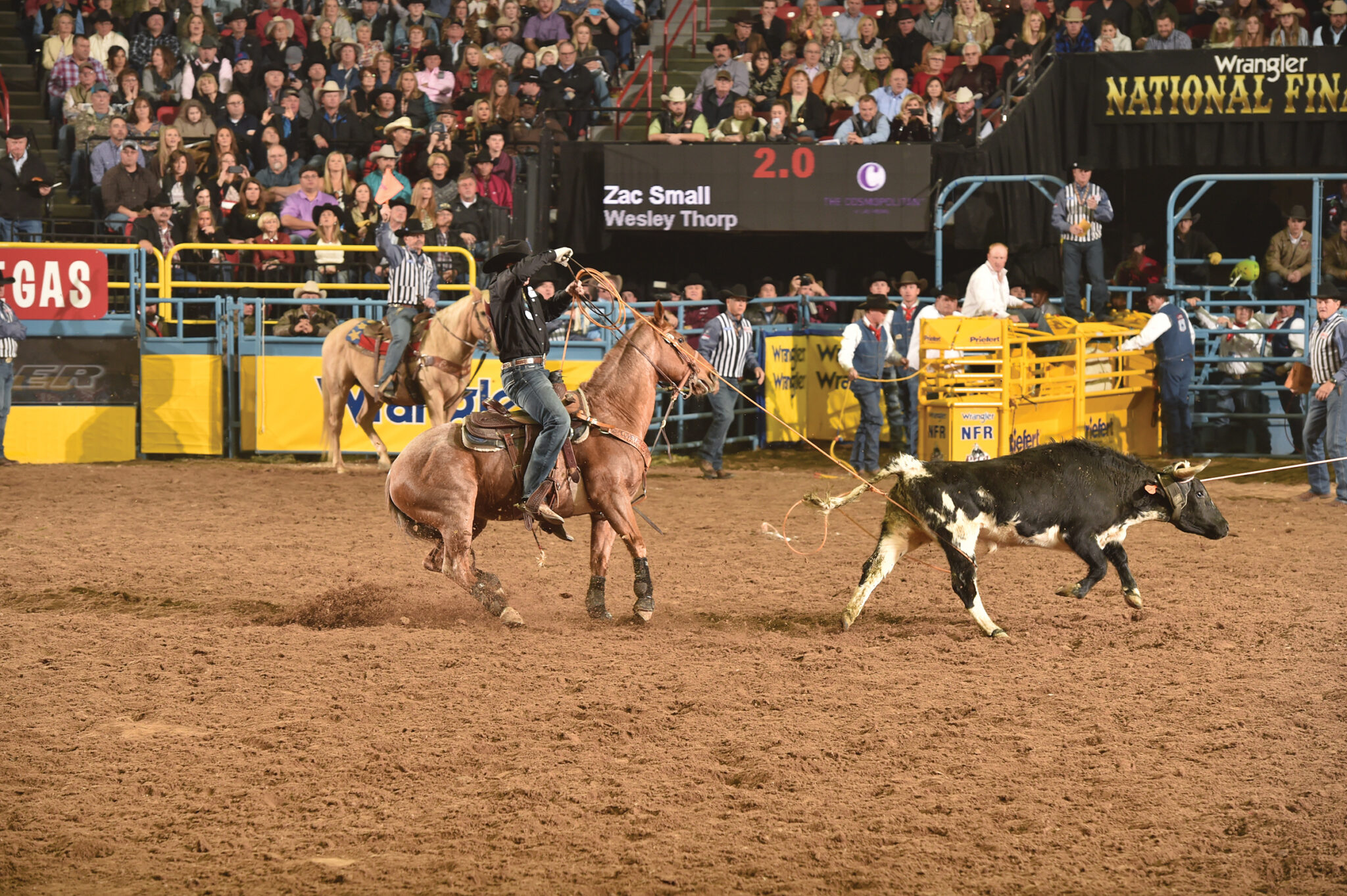 Climbing Team Roping's Global Handicaps
