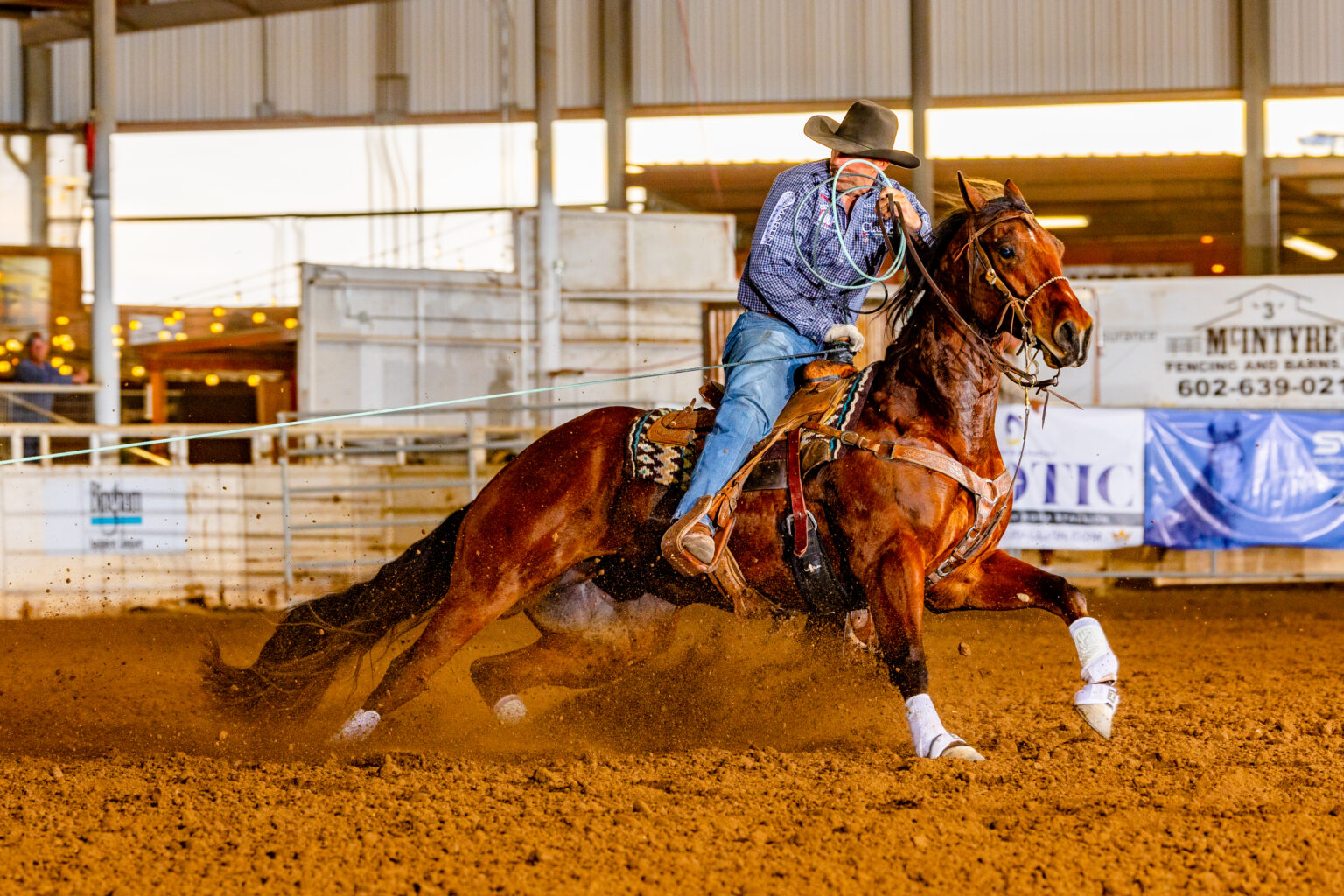 Saebens Sweeps Royal Crown 4 & Under with Heading Win