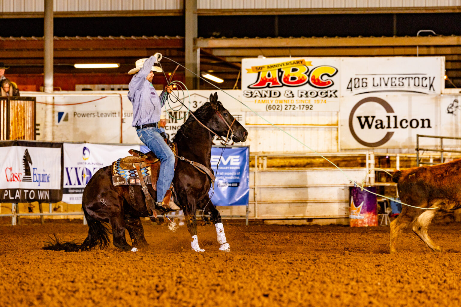 Buhler Wins Royal Crown 6 & Under Heeling on DT Hickorys Angus
