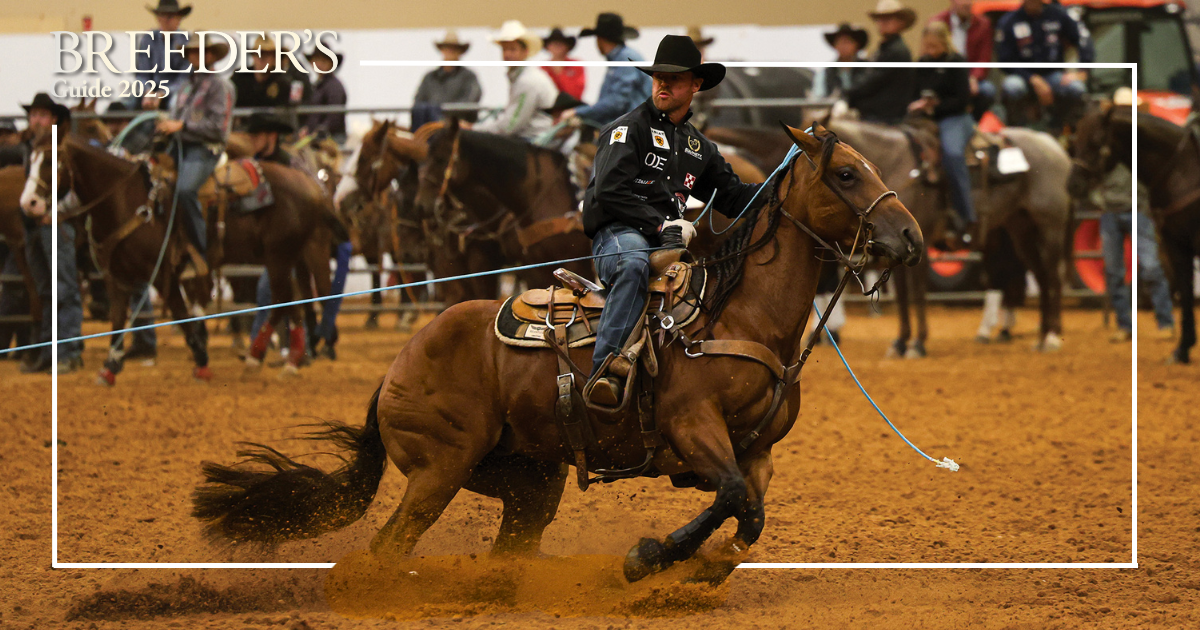 Rope Horse Breeder's Guide: Flag Ranch