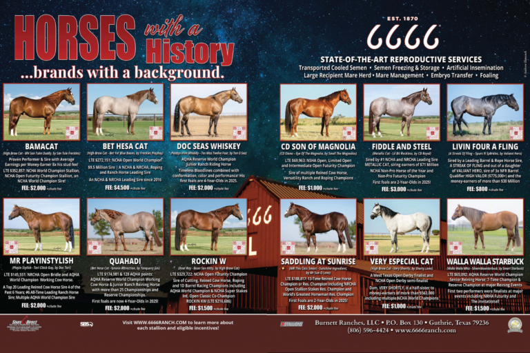 Rope Horse Breeder's Guide: Four Sixes Ranch