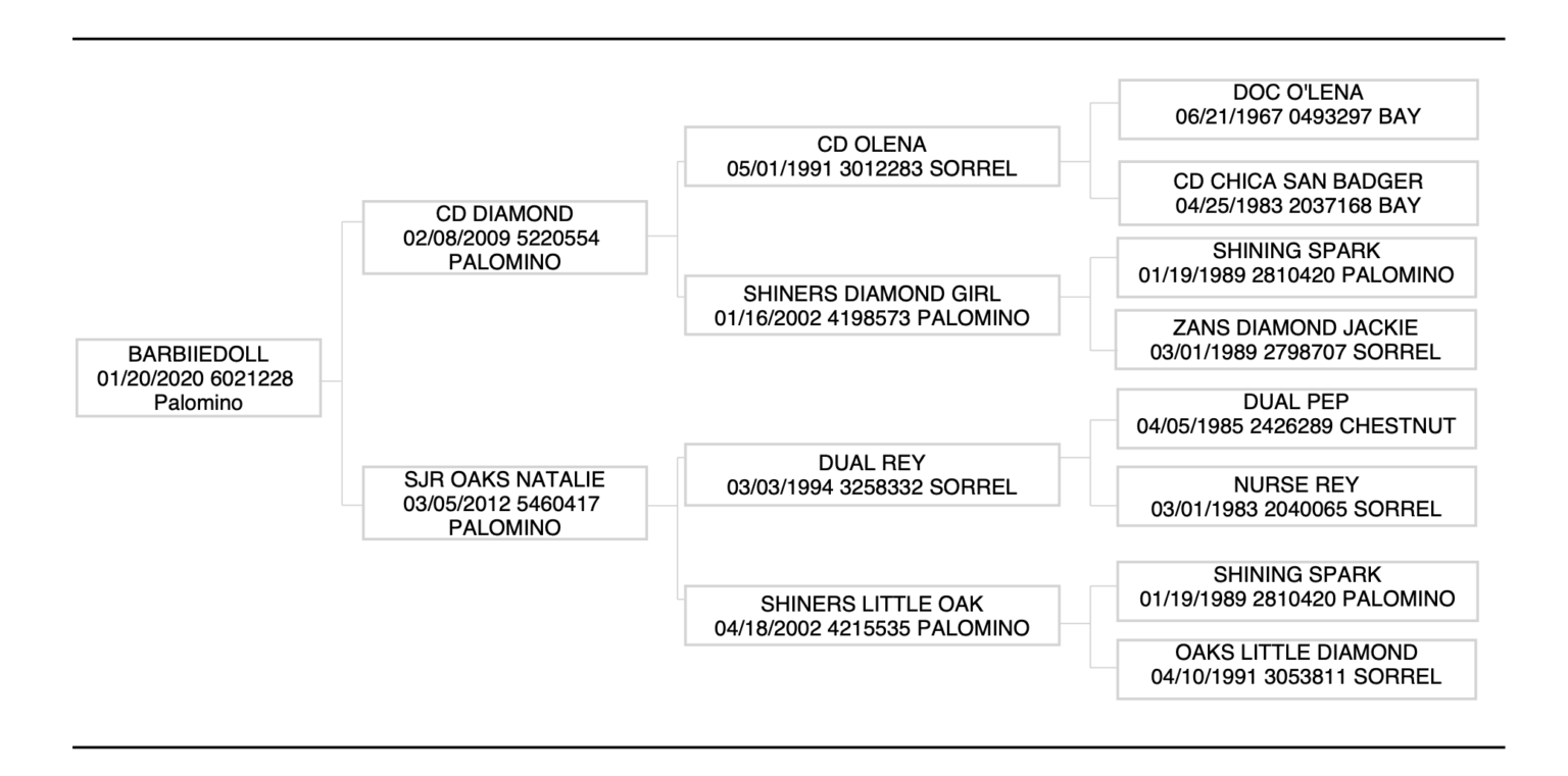 Derrick Begay, Colter Todd Win Rodeo Houston - The Team Roping Journal