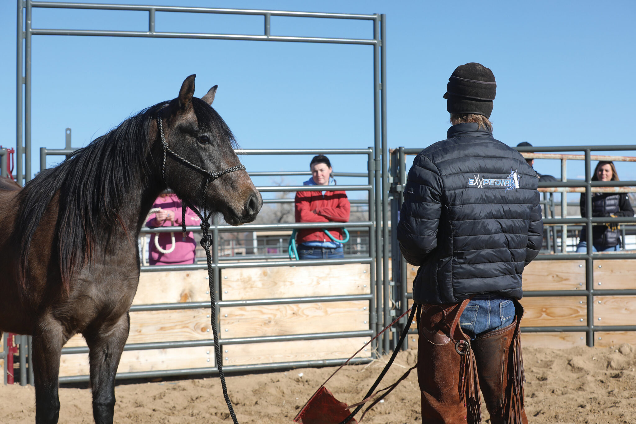 Lamar Community College Launches Rope Horse Training Program