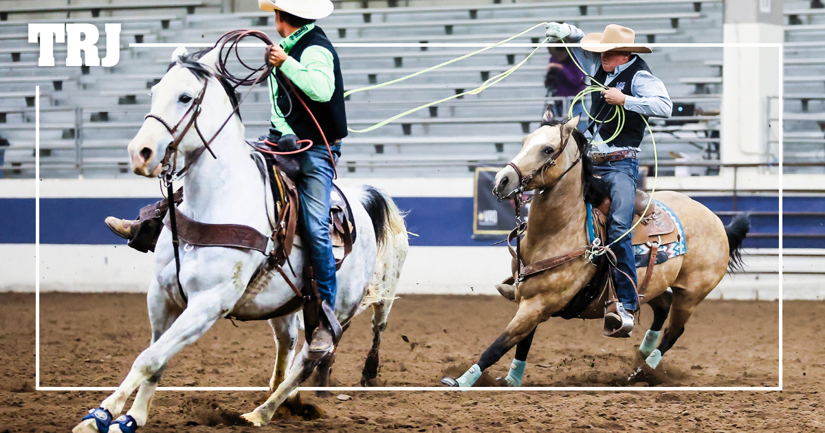 Lamar Community College Launches Rope Horse Training Program