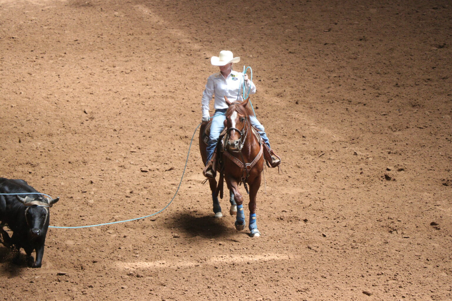 AT&T Field Set: Women's Rodeo Championships Team Roping Results - The ...
