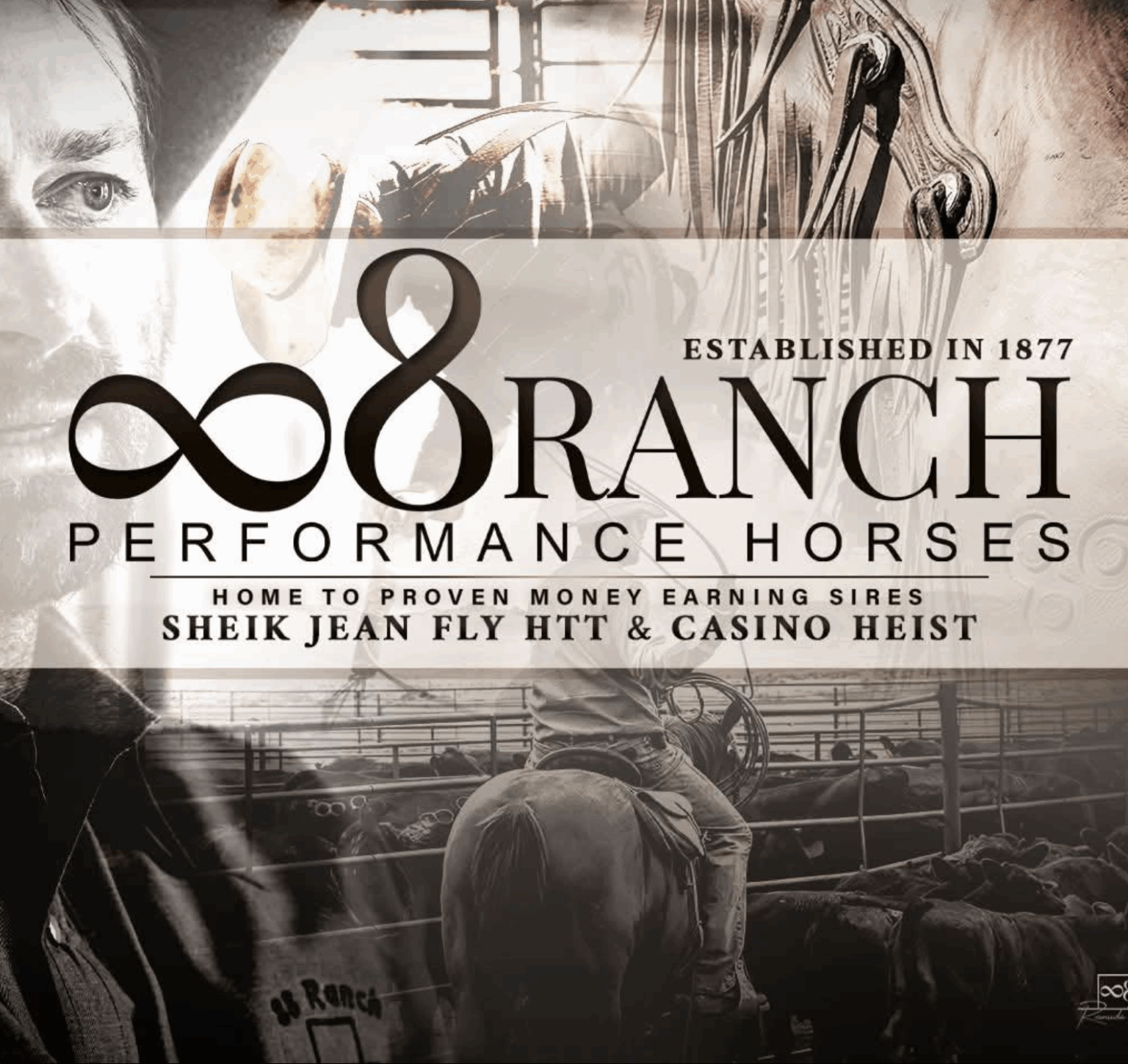 2025 Rope Horse Sales