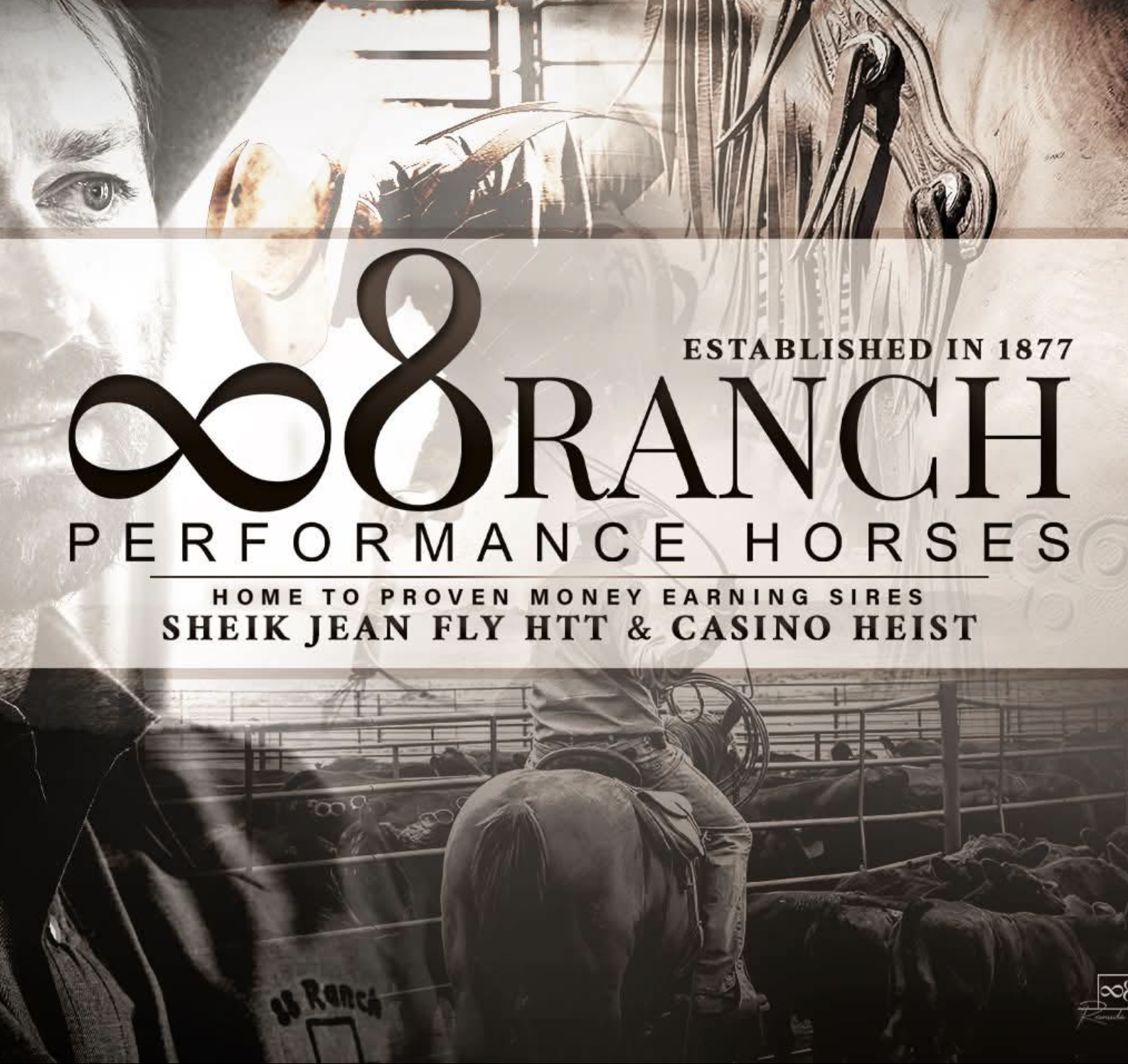 2025 Rope Horse Sales