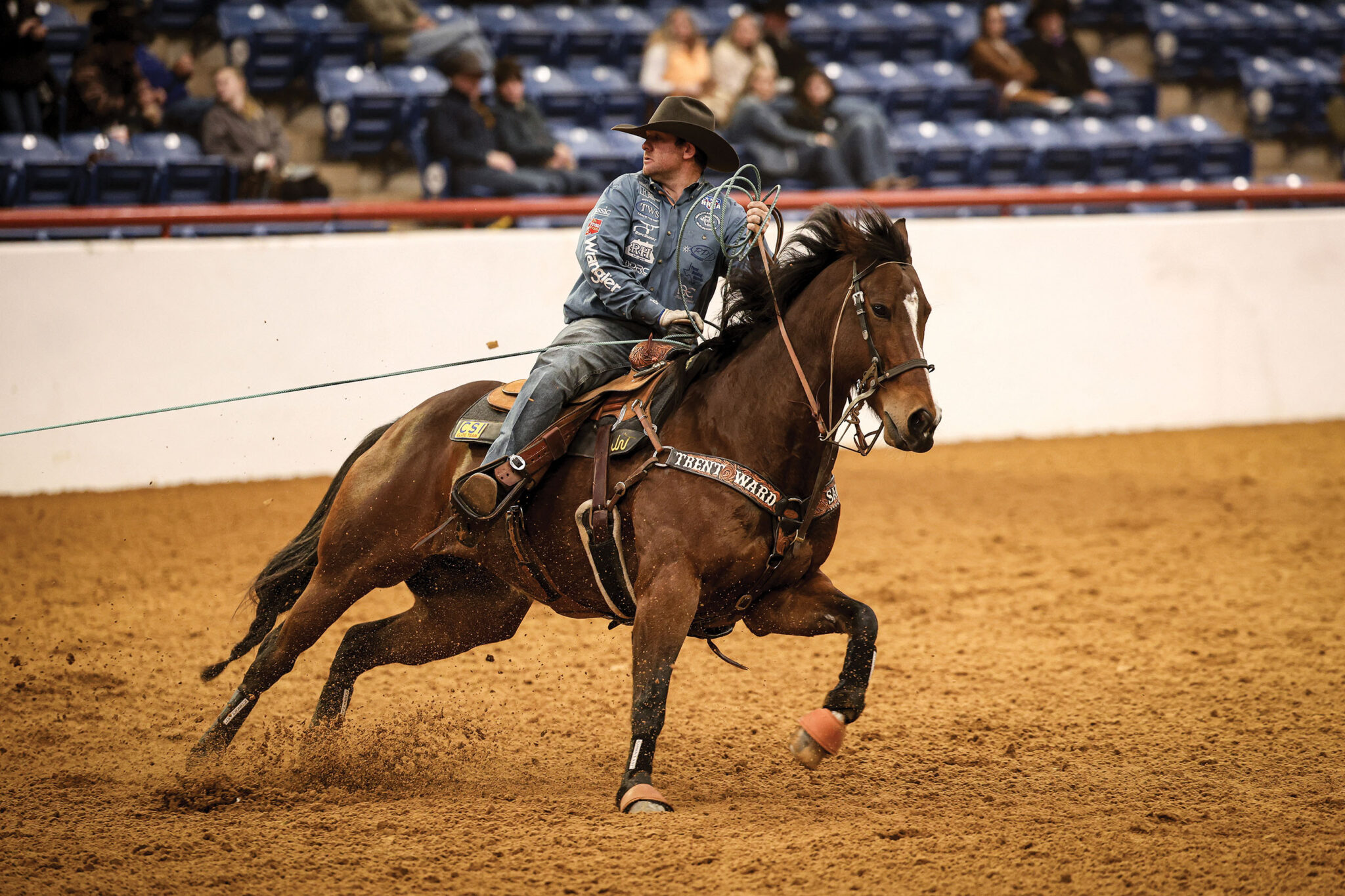Pros Are Investing in Rope Horse Mares Like Never Before