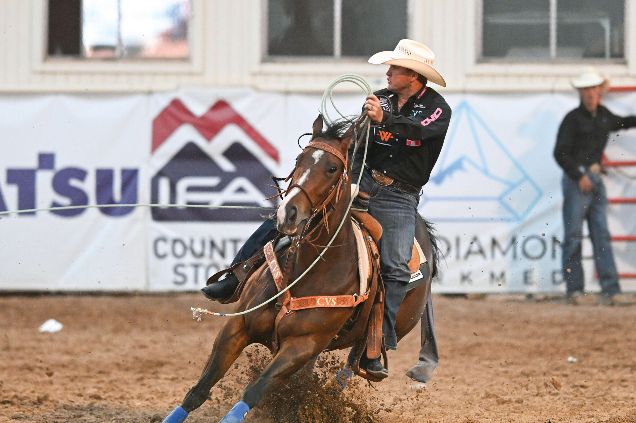 Pros Are Investing in Rope Horse Mares Like Never Before