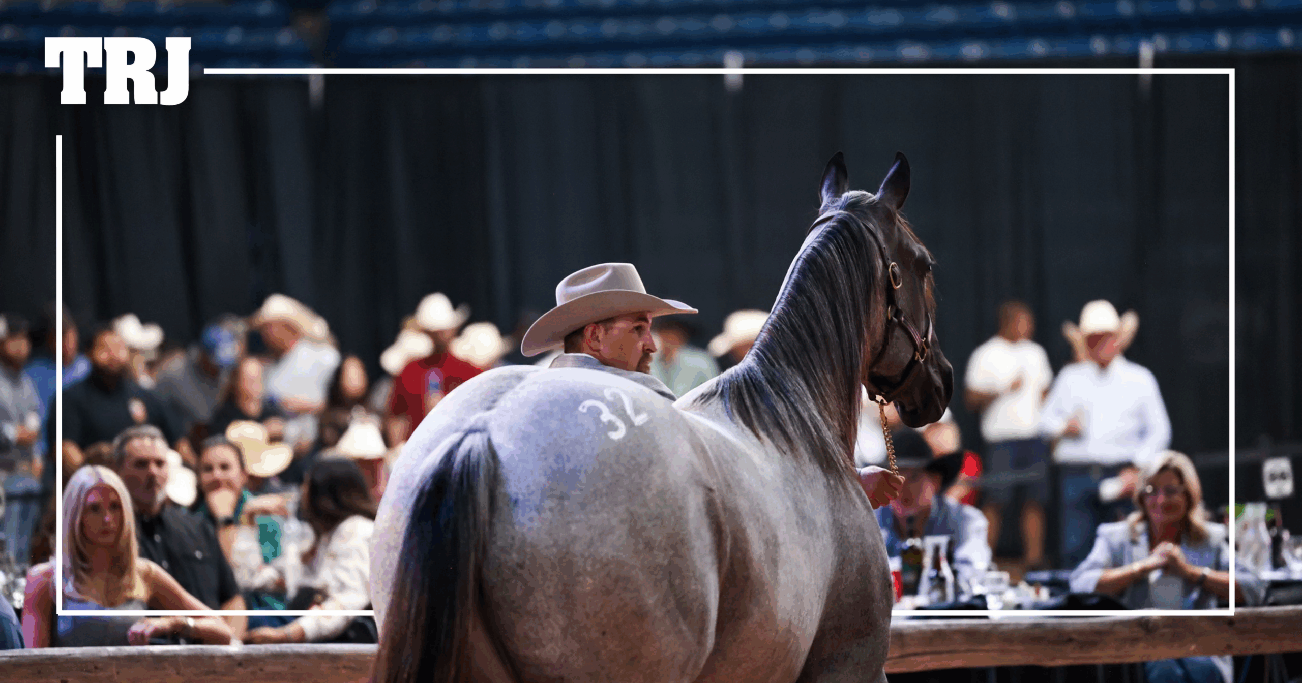 Crosby Ray Von Sells for $1.7 Million at Old West Sale - The Team ...