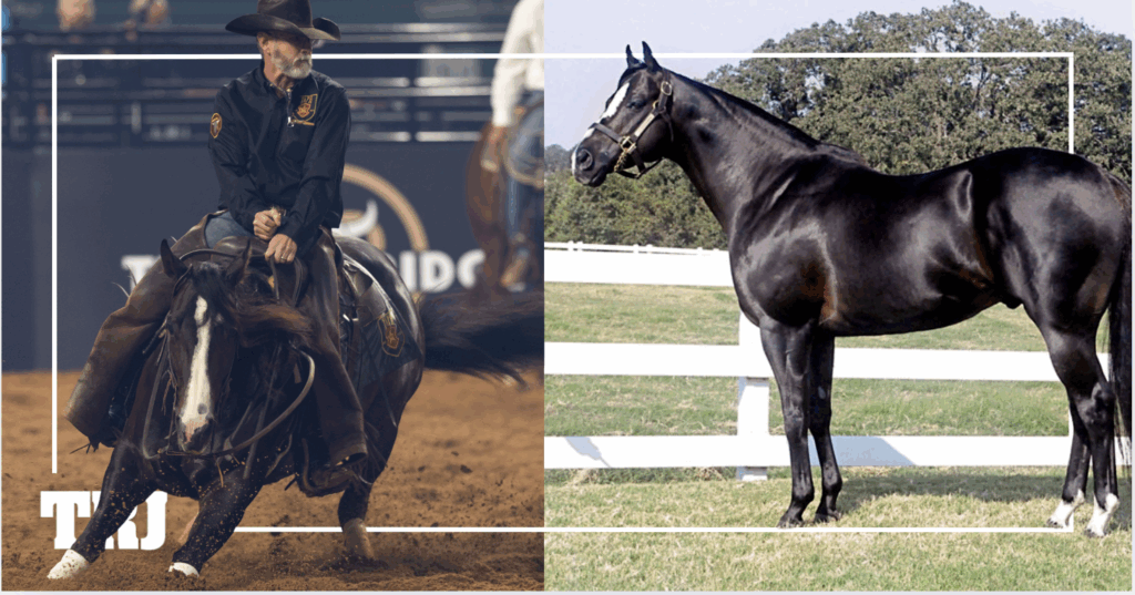 Solo Select Sells Blackish PYC Paint Your Wagon Embryo - The Team ...