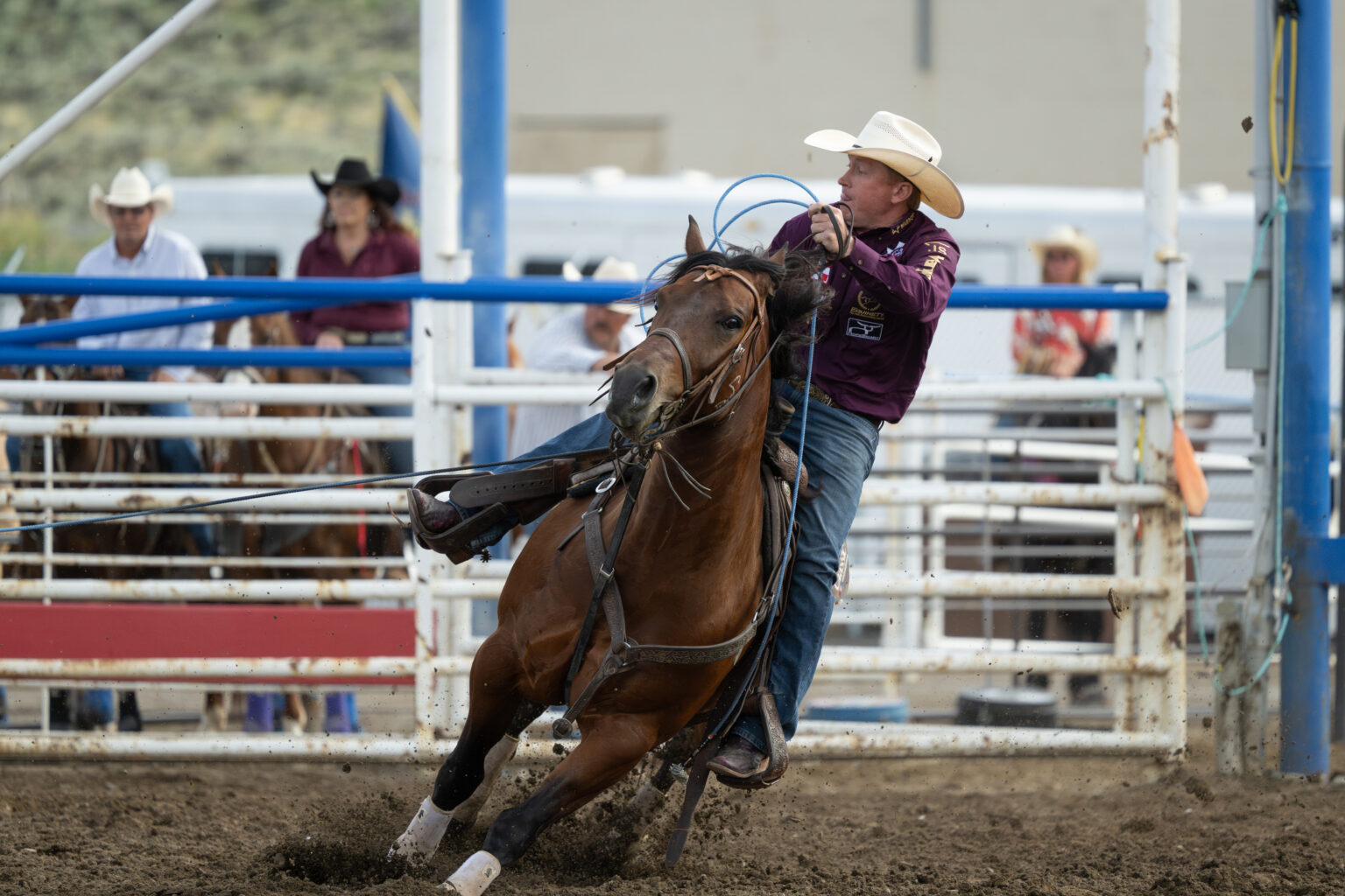 'Tis the Season: 2025 Cowboy Christmas Team Roping Results