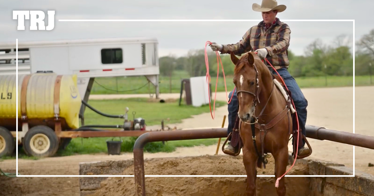 Box Basics: Teaching Your Head Horse to Stand Square and Leave Strong ...