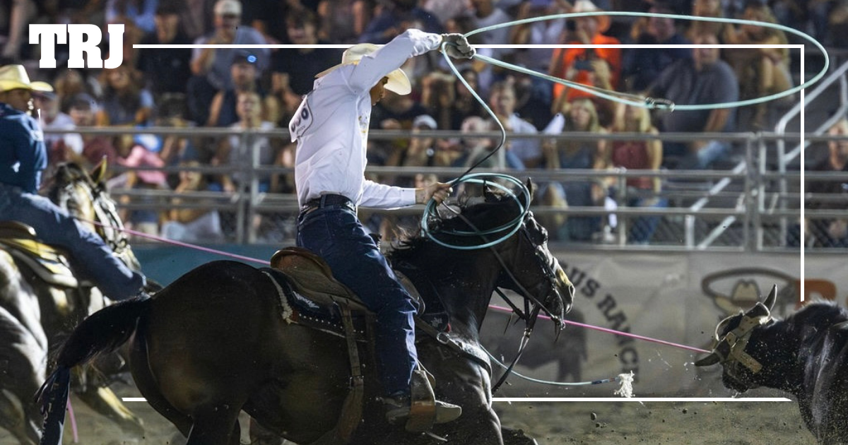 Nicky Northcott holds strong lead in Resistol Rookie Race, Sits on NFR ...