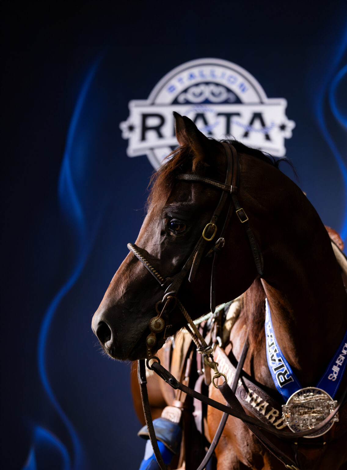 2025 Riata Championships: The Richest Ariat WSTR Qualifier Streams Live on Roping.com