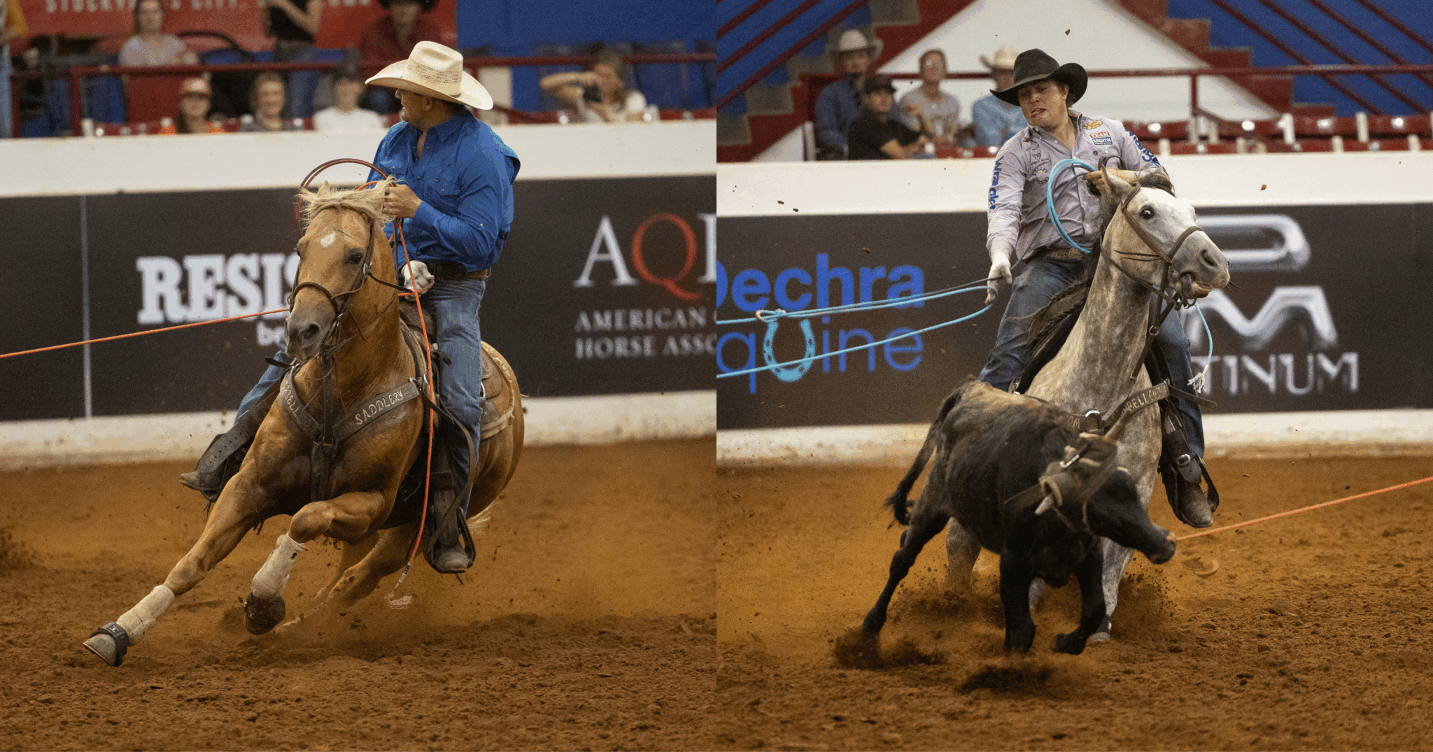 Logan Allen, Ketch Kelton Win 2025 Riata #14.5