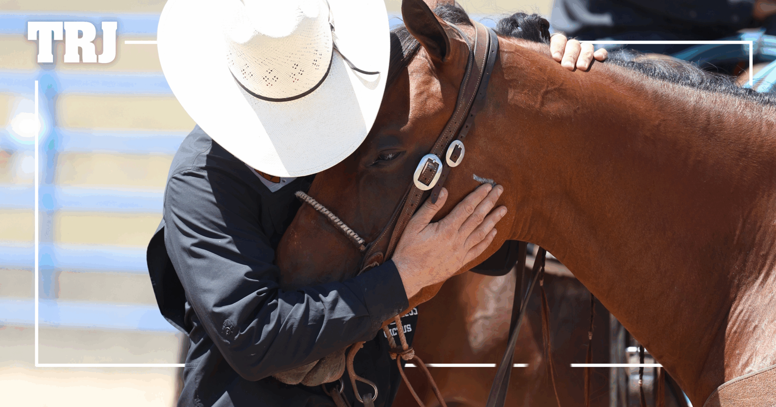 Miles Baker's Relentless PYC Dies at 5 - The Team Roping Journal