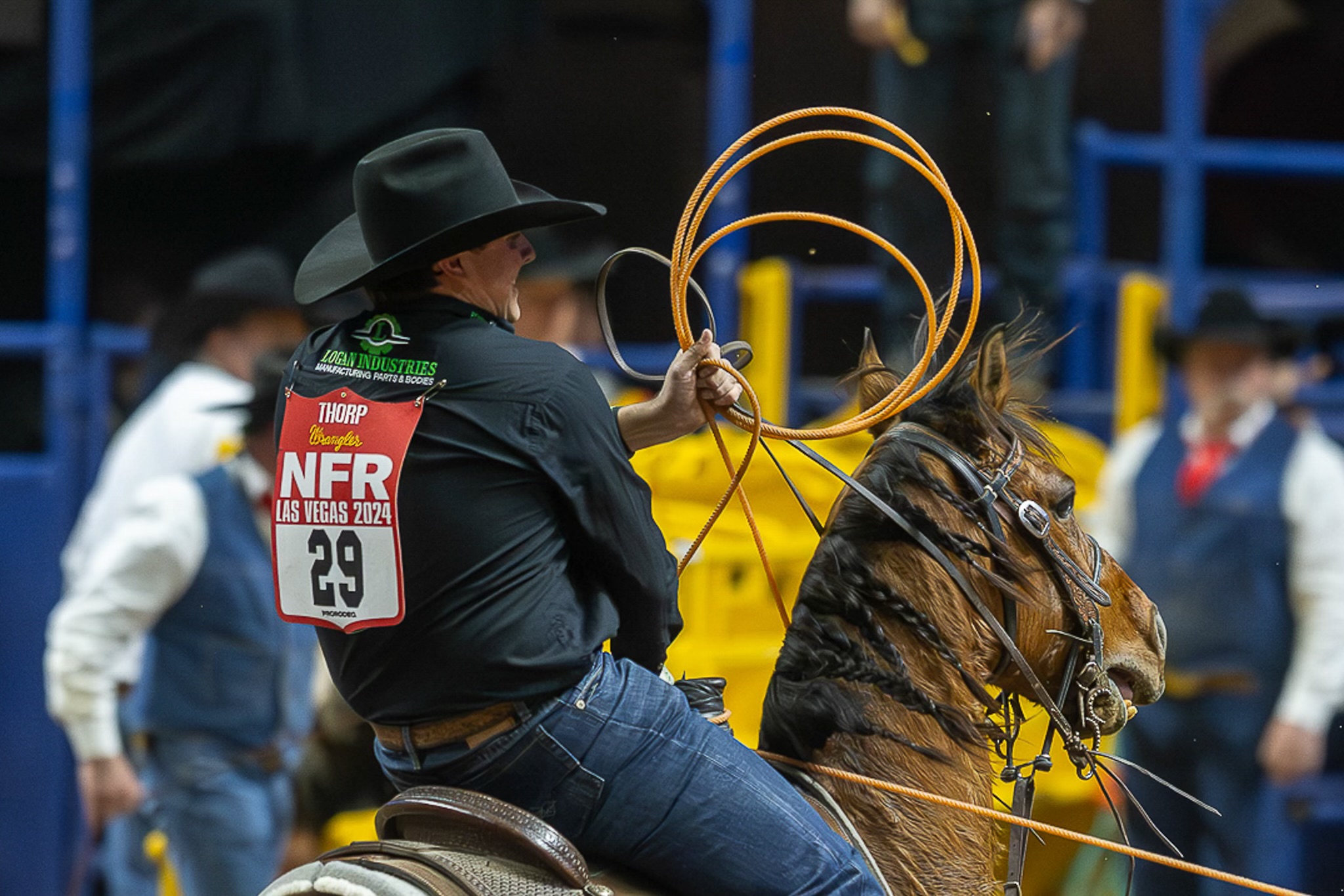 The Ropes the Top 15 Heelers Will Use at the 2025 NFR - The Team Roping ...