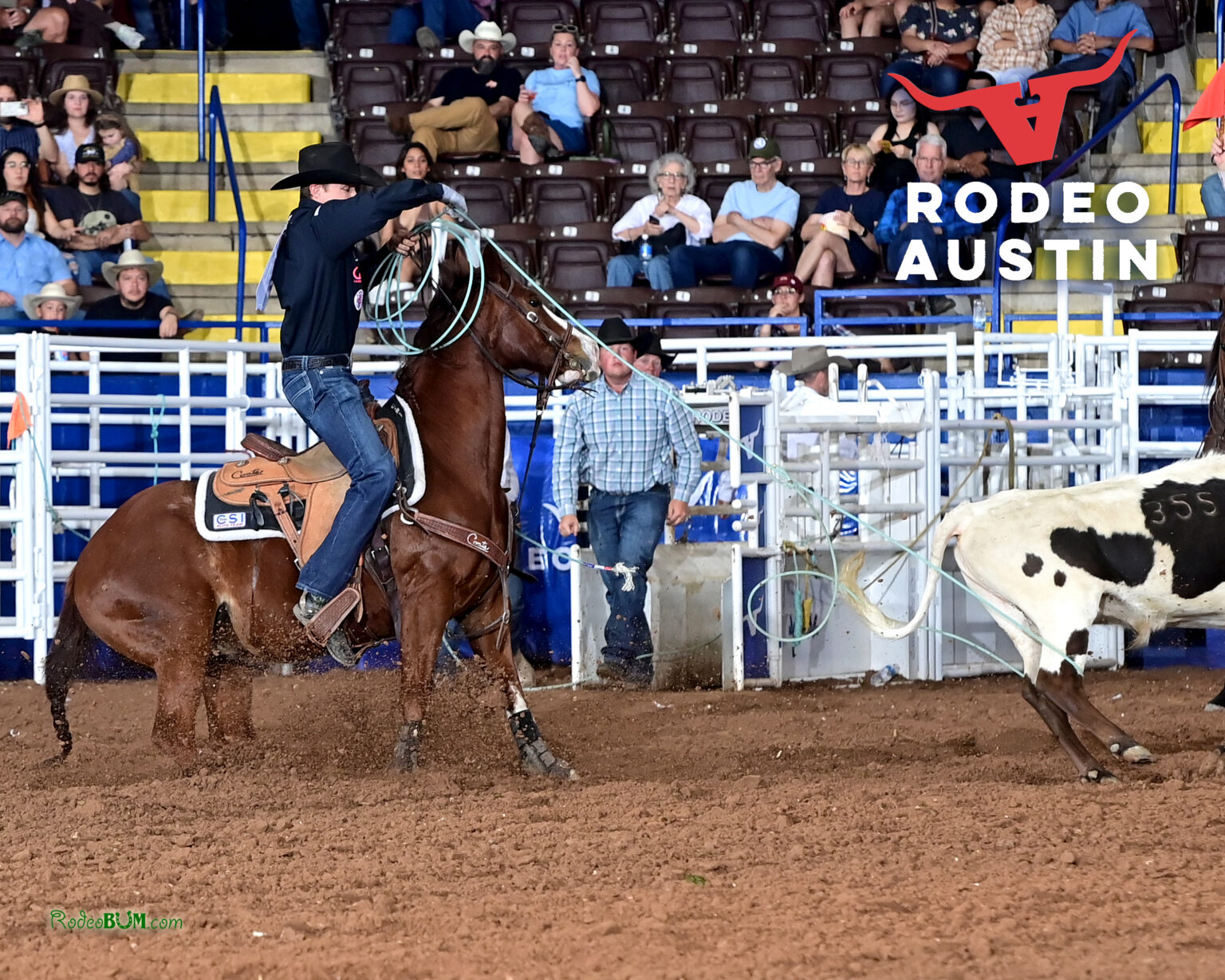 Keeping Up with 2026 Rodeo Austin Team Roping: Results