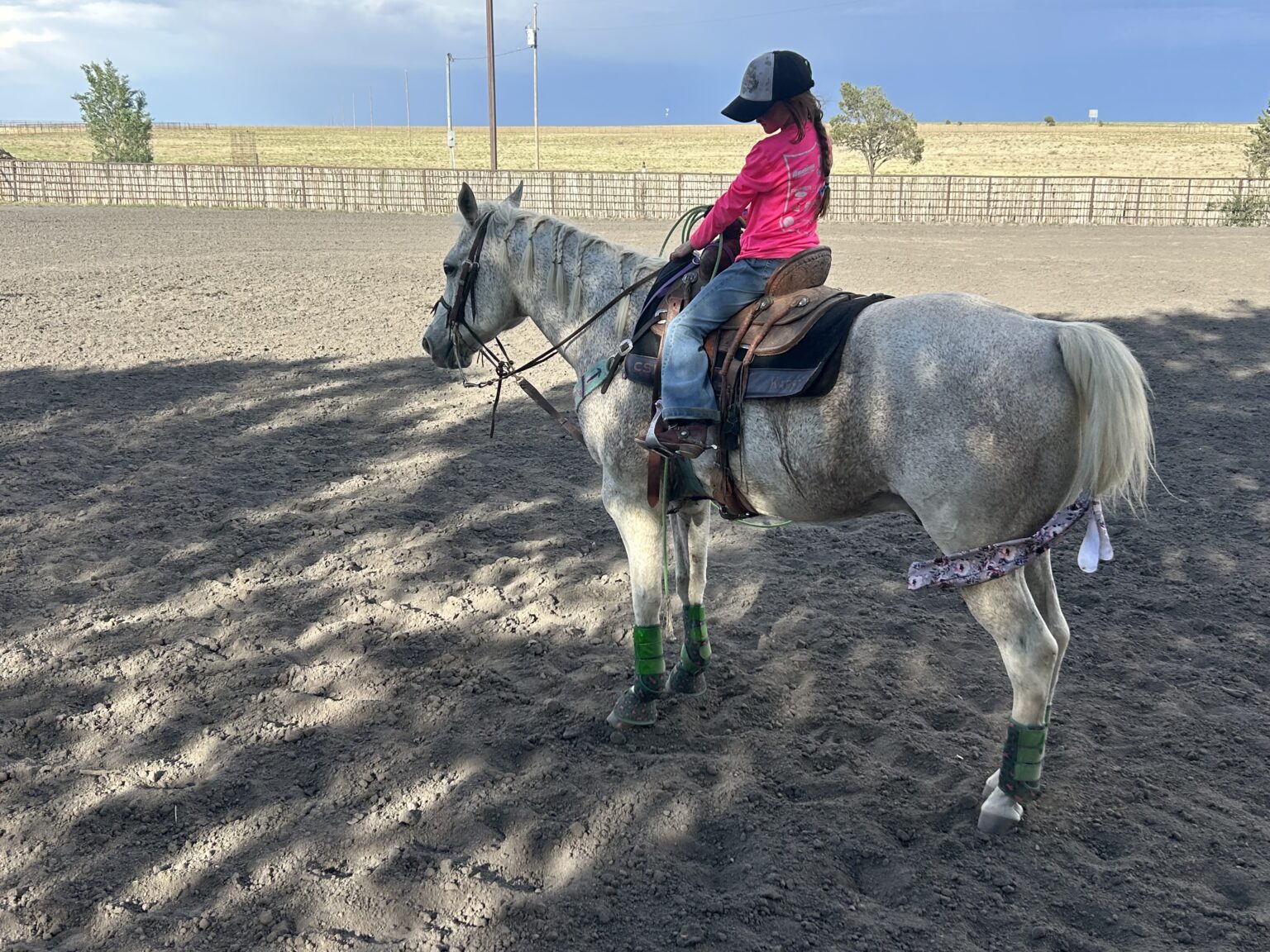 Karstyn Francis, 8, Inherits American-Winning Head Horse Yahtzee - The ...