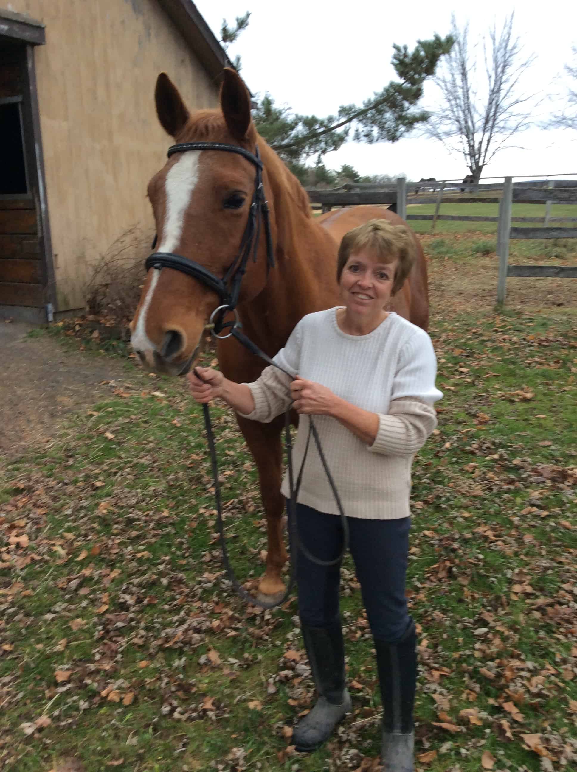 Managing Horses on Small Acreages – The Horse