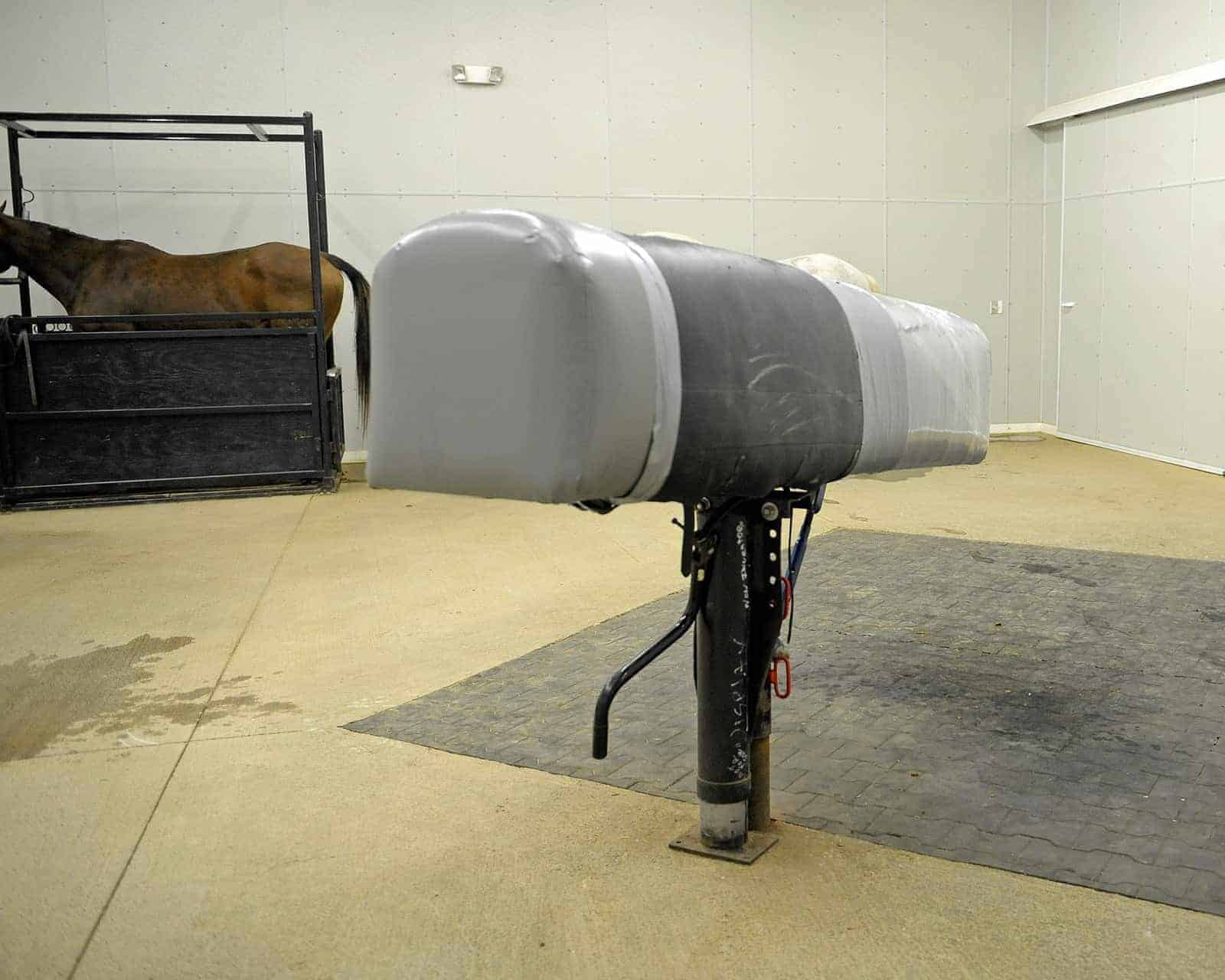 Breeding Dummy Design – The Horse