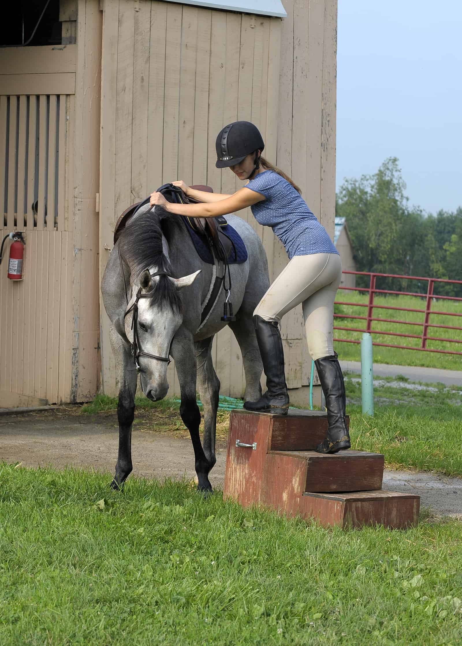 Teaching a Horse to Stand Still at the Mounting Block – The Horse