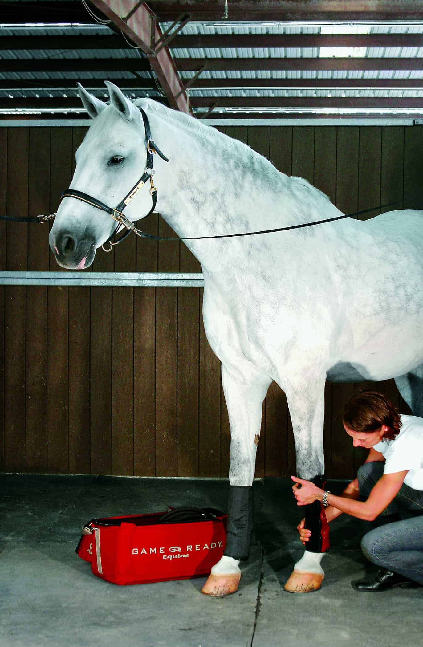 Cryotherapy Methods to Treat Laminitis – The Horse