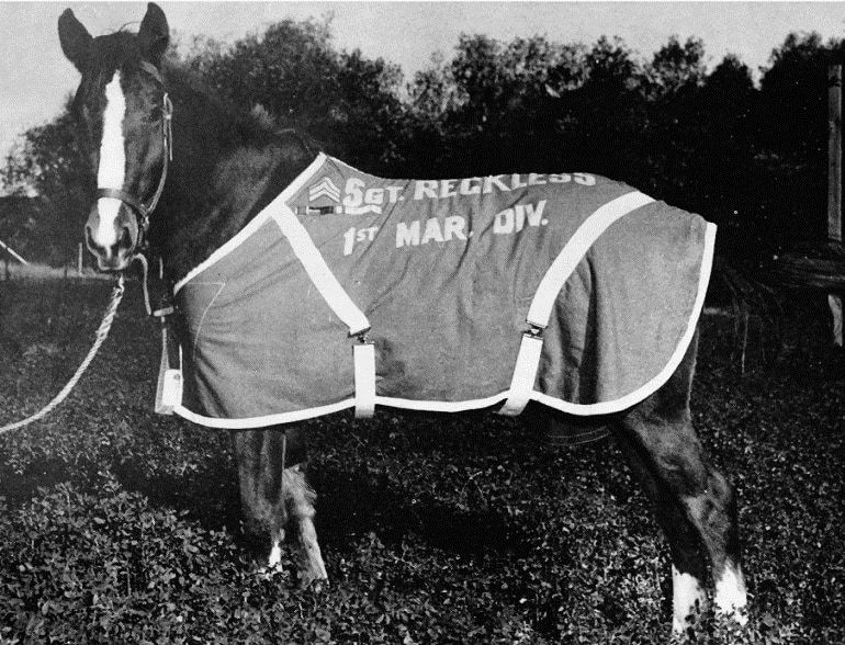 Staff Sgt. Reckless Honored at Marine Corps Museum – The Horse