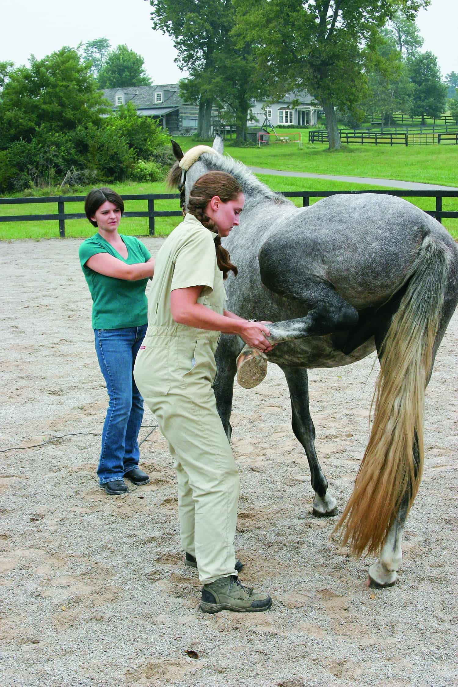 OSHA and the Equine Practitioner (AAEP 2012) – The Horse