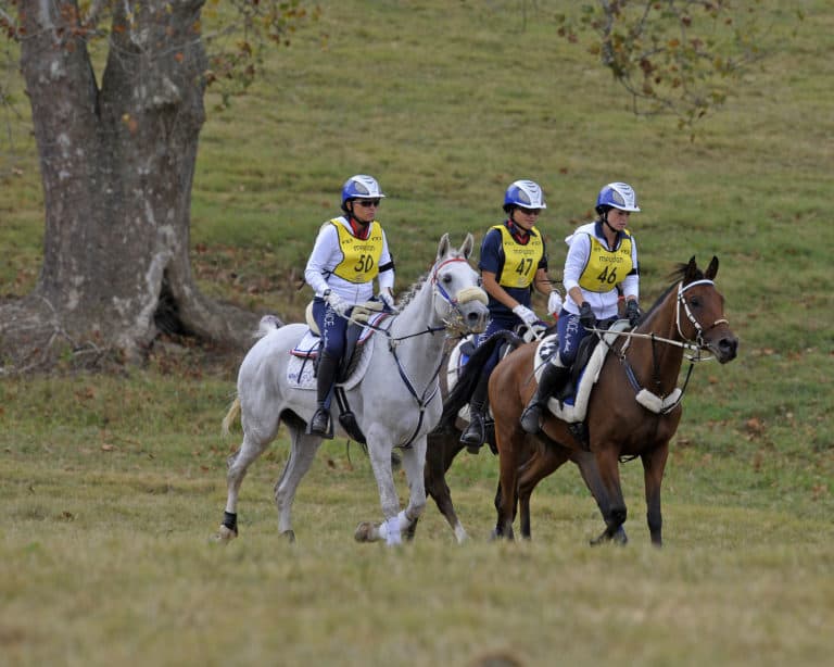 Condition Your Horse Like a Pro – The Horse