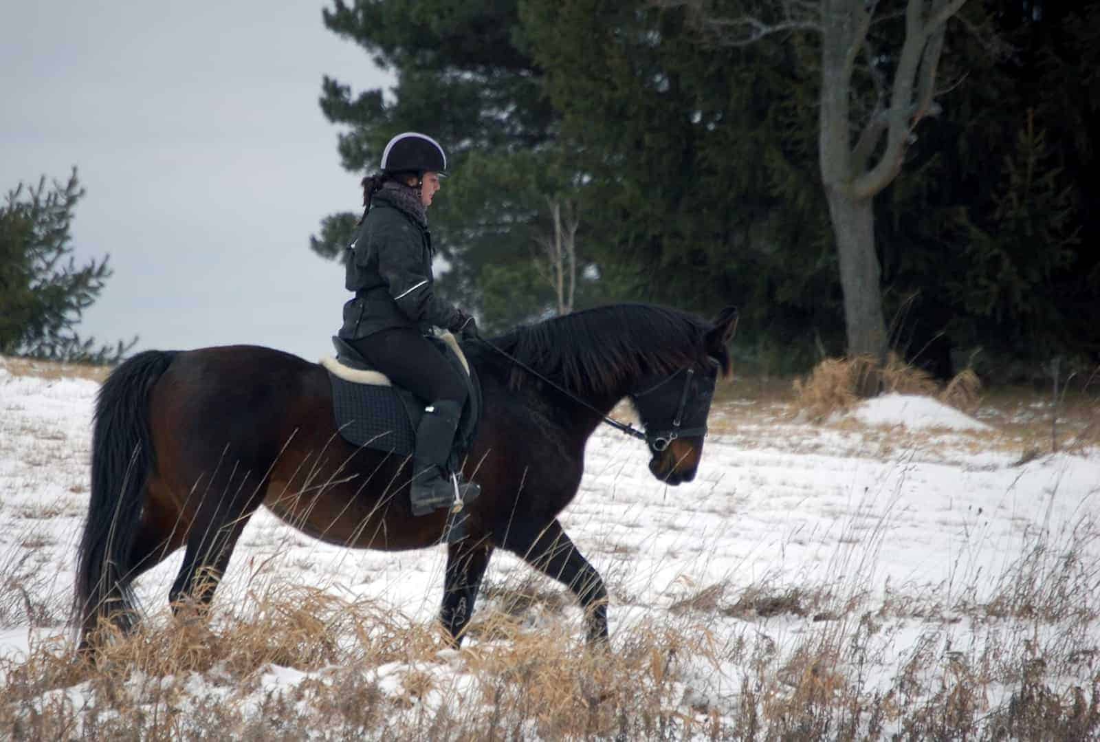 Winter Horseback Riding Tips – The Horse