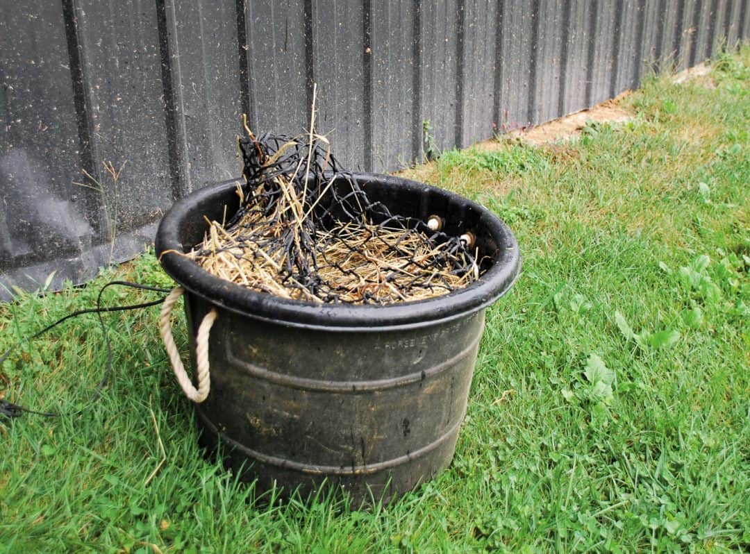 Soaking Hay During Summer for Metabolic Horses – The Horse