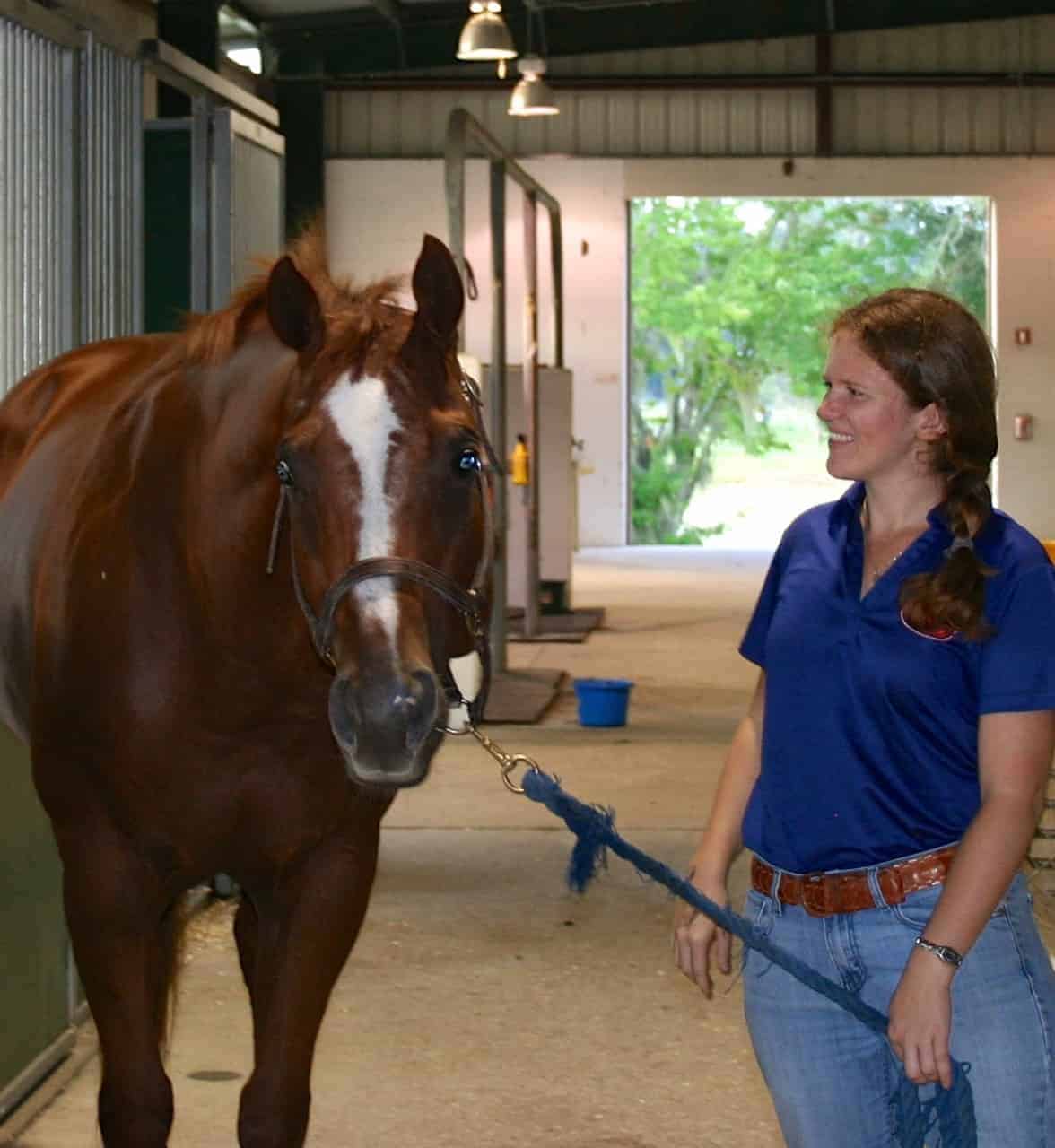 UK Graduate Student Spotlight: Tayler L. Hansen – The Horse