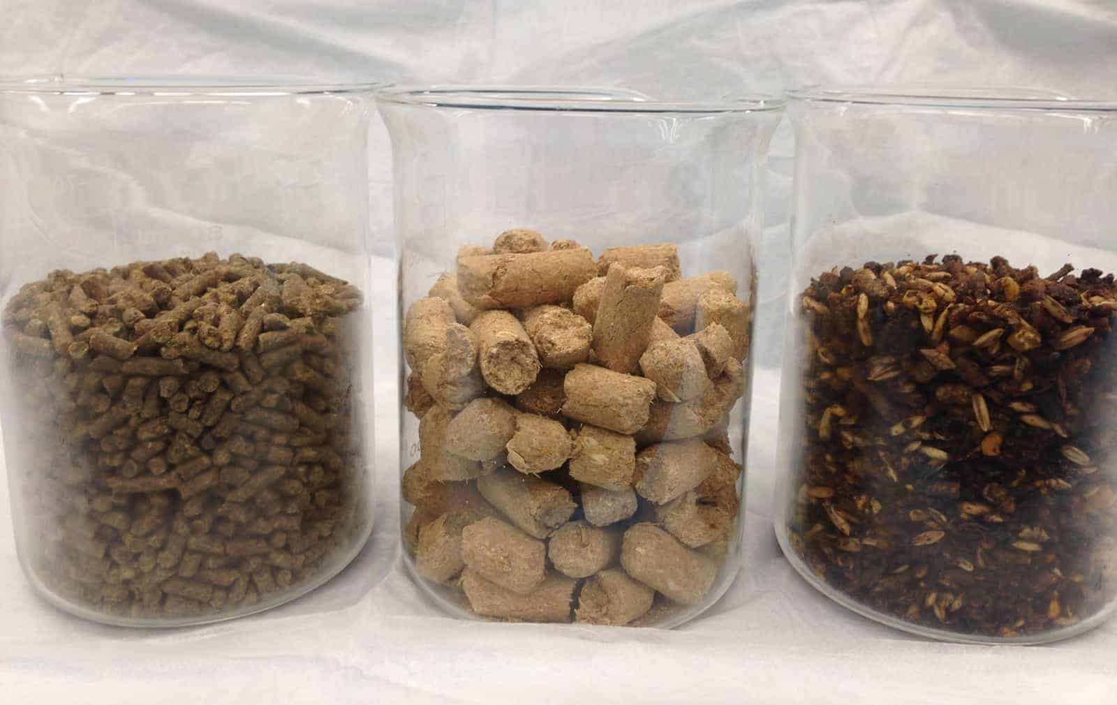 How Sweet is Your Sweet Feed? – The Horse