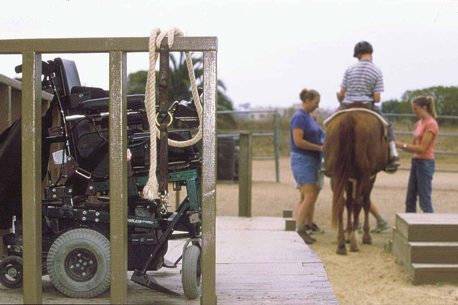 A Look at Therapeutic Riding Horses' Stress Behaviors – The Horse