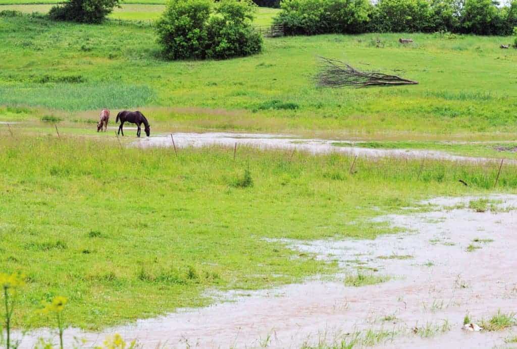 Dealing With Mud and Flooding on Horse Properties – The Horse