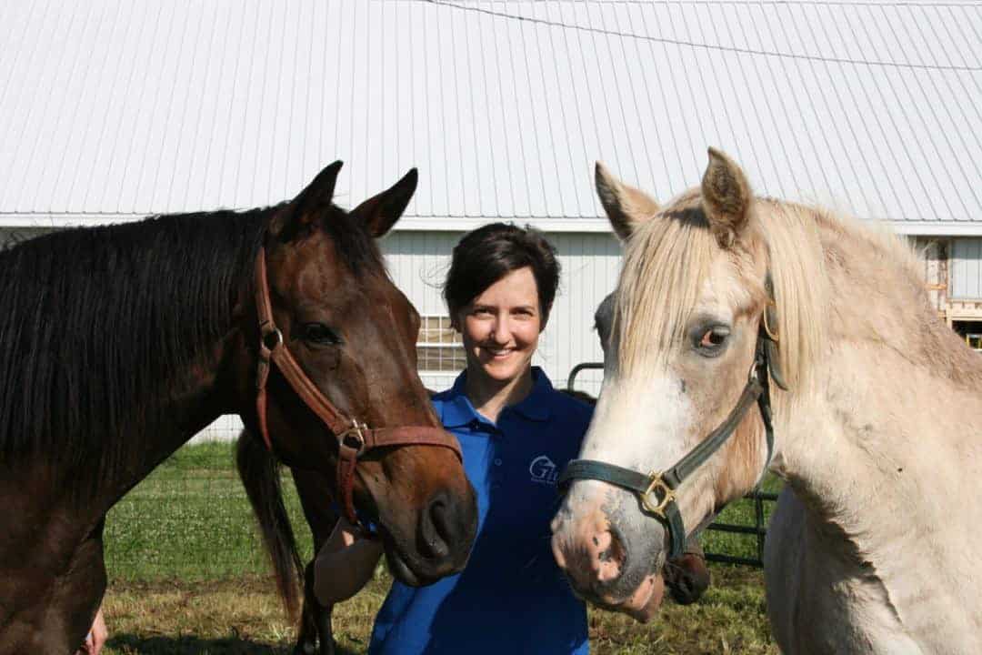 Equine Metabolic Issues: What Are the Differences? – The Horse