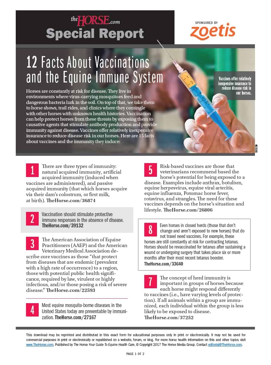 12 Facts About Vaccinations and the Equine Immune System – The Horse