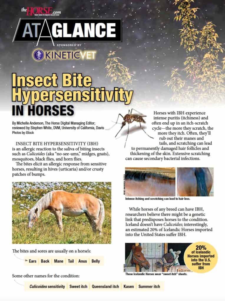 Nearly Nontoxic Insect Control – The Horse