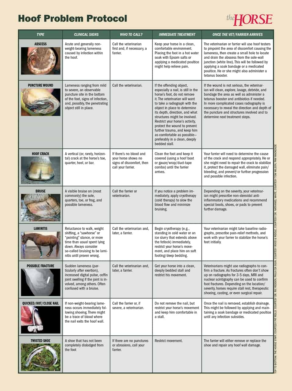 Hoof Problem Protocol – The Horse