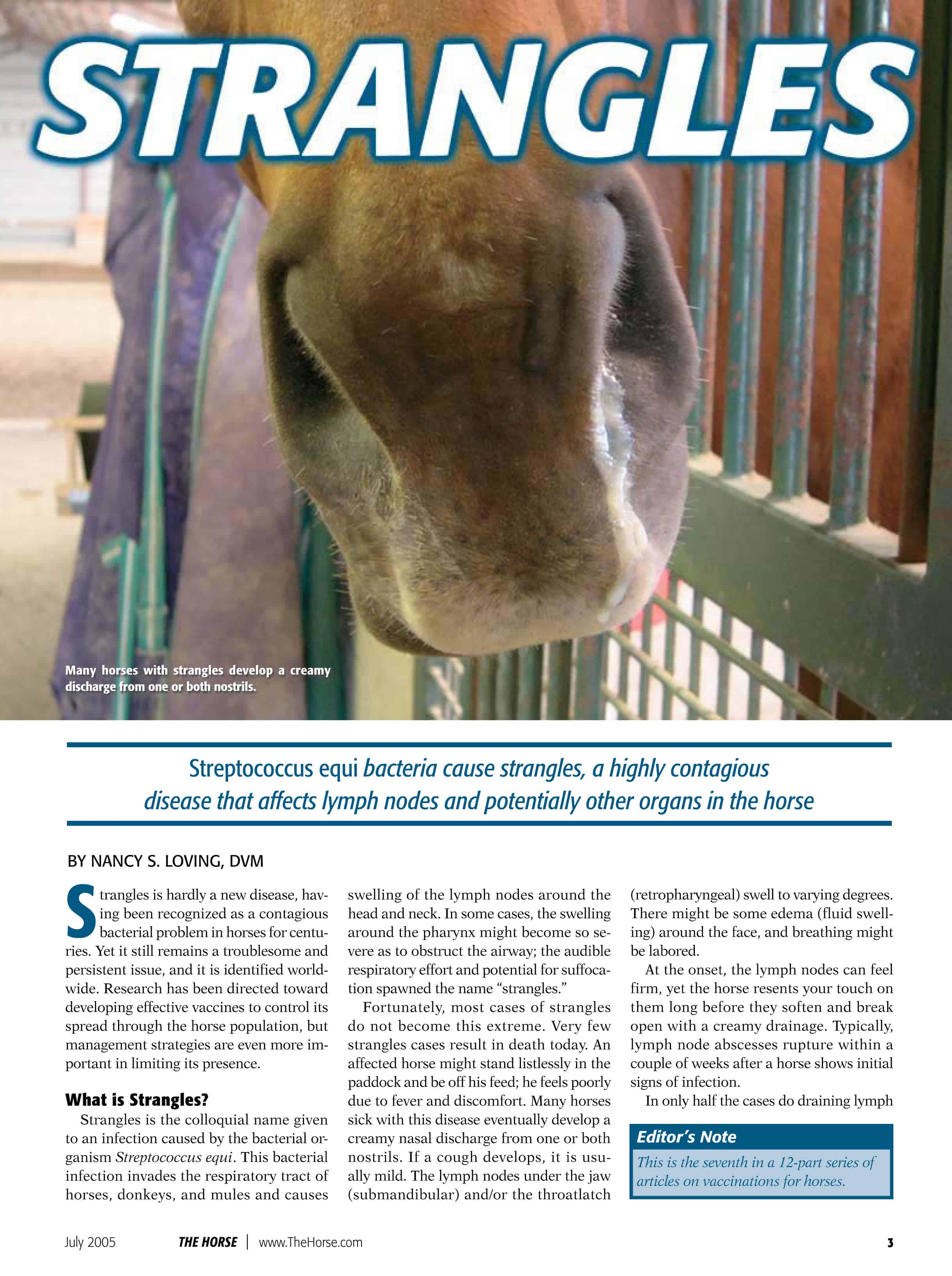 Controlling Strangles in Horses – The Horse