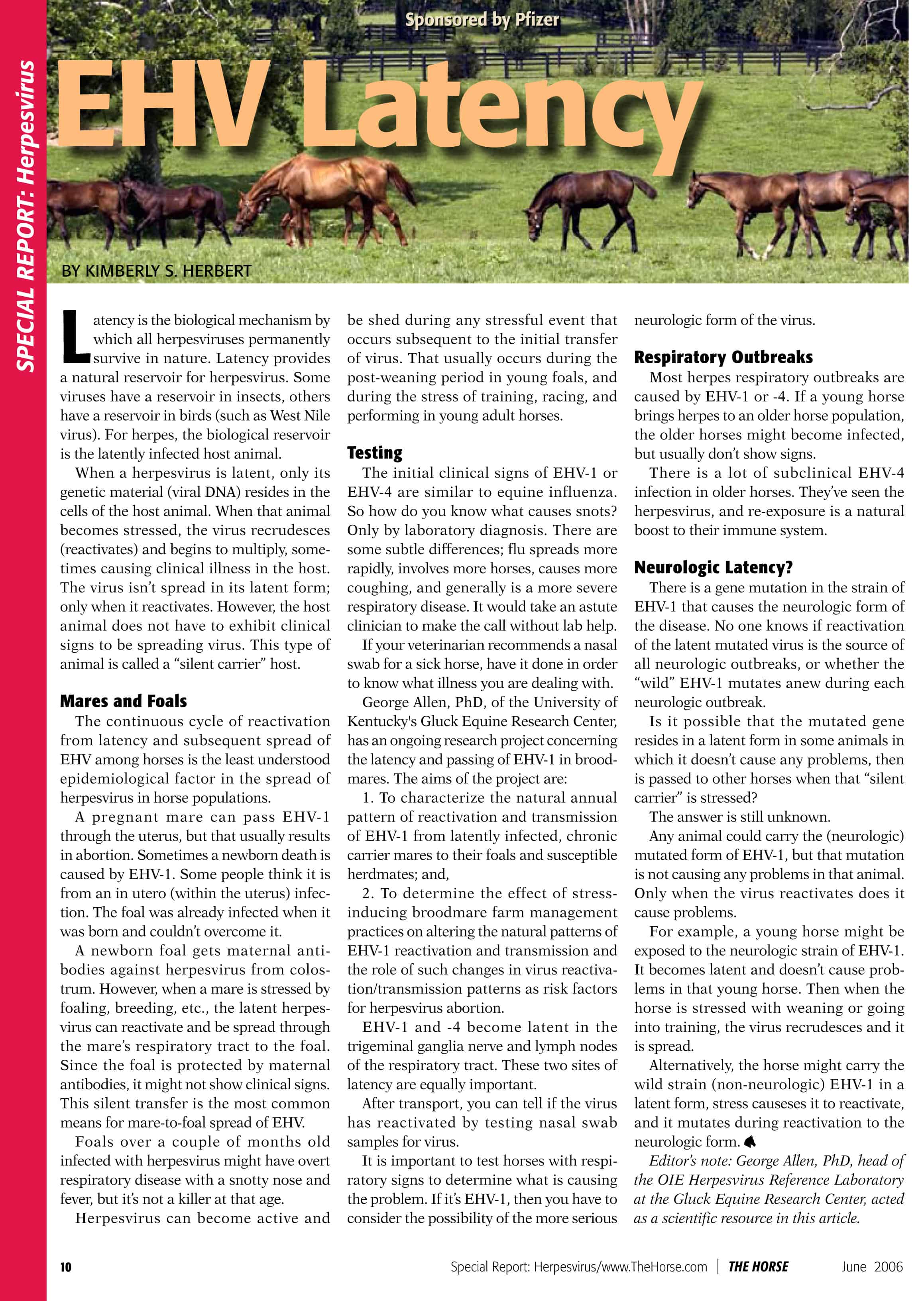 Equine Herpesvirus Latency – The Horse