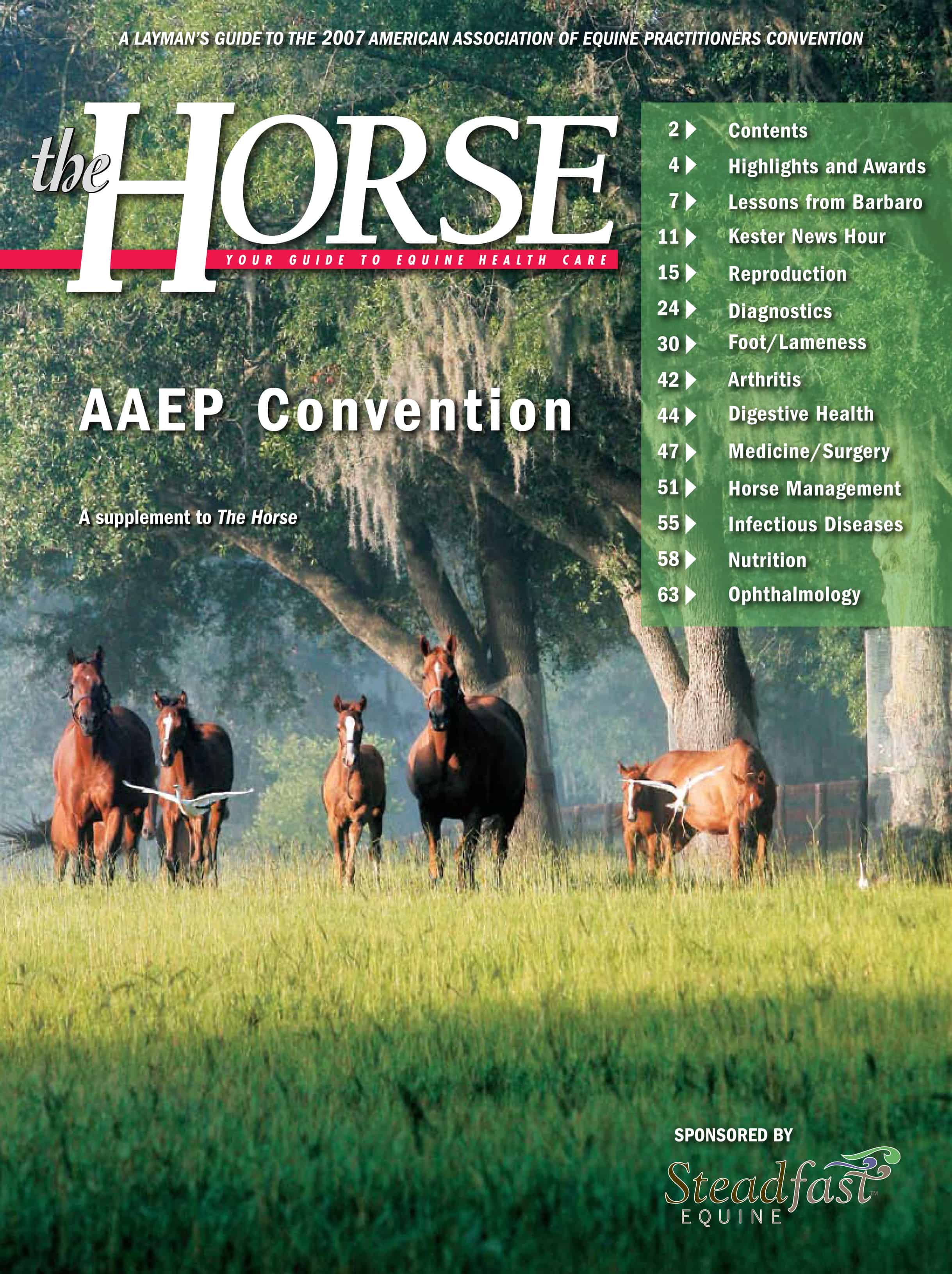 AAEP 2007 Convention Complete Coverage – The Horse
