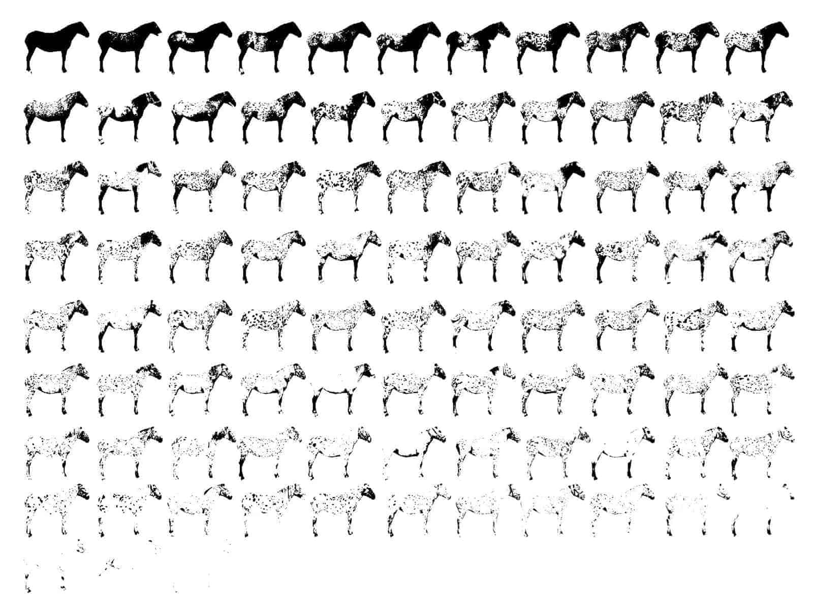 Researchers Connect the Dots on Spotted Coat Color Genetics – The Horse