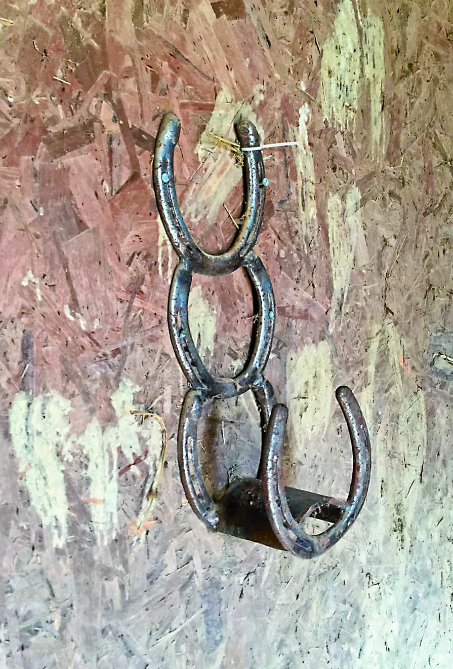 Recycling on the Farm – The Horse