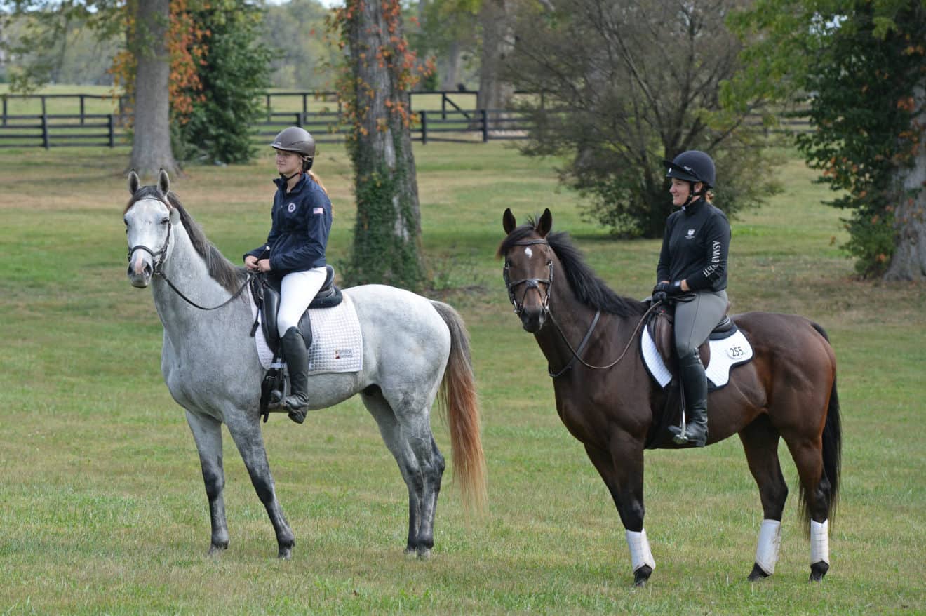 Survey Says OTTB Owners Satisfied With Their Mounts – The Horse